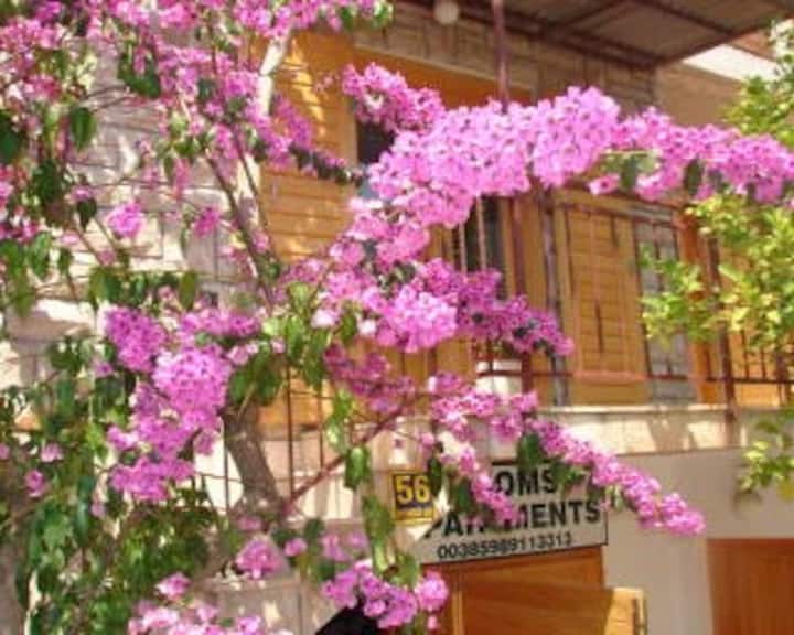 Bolbeach Guesthouse - Bol