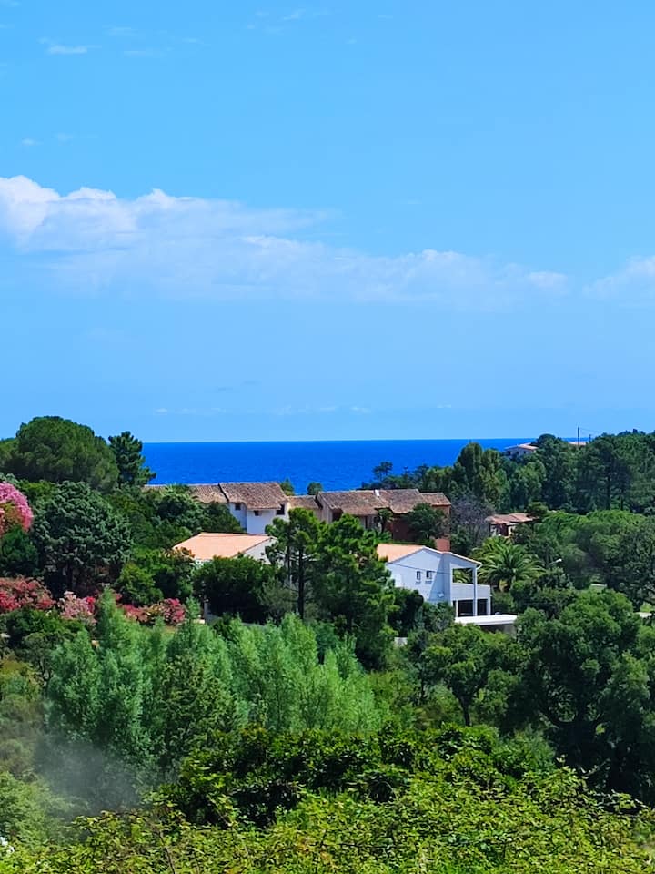 Appartement T3 - Solenzara