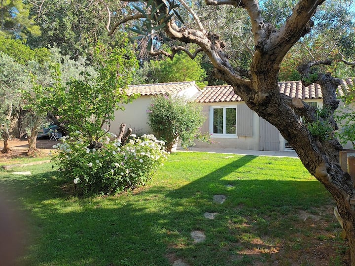 Le Cabanon - Maussane-les-Alpilles