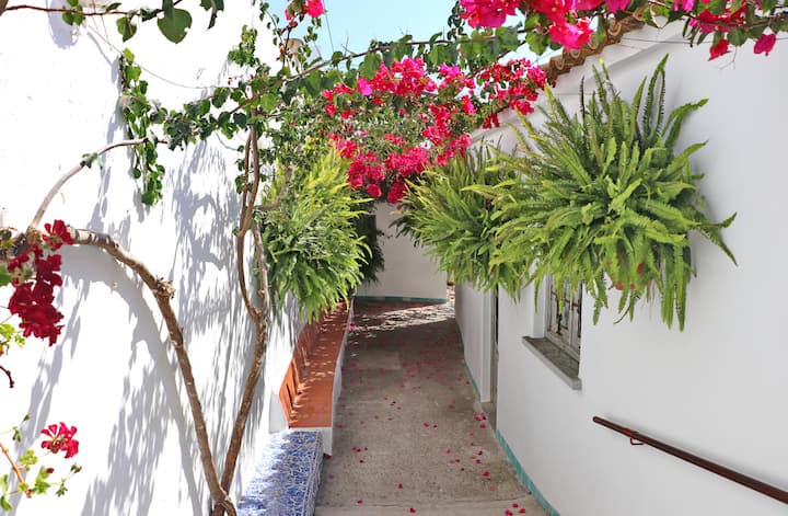 Apartamento La Chanca Conil 614 - Conil de la Frontera