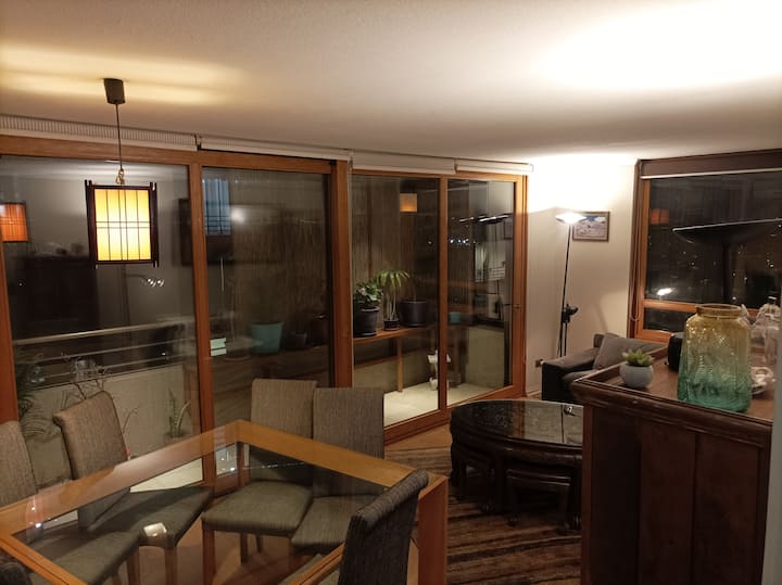 Centrico Y Acogedor Depto - Las Condes