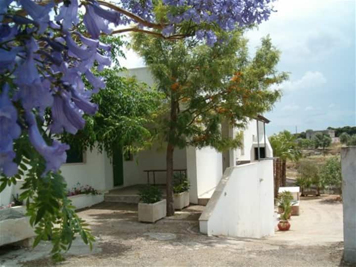 Villeriunite - Villetta N°7 - Gallipoli