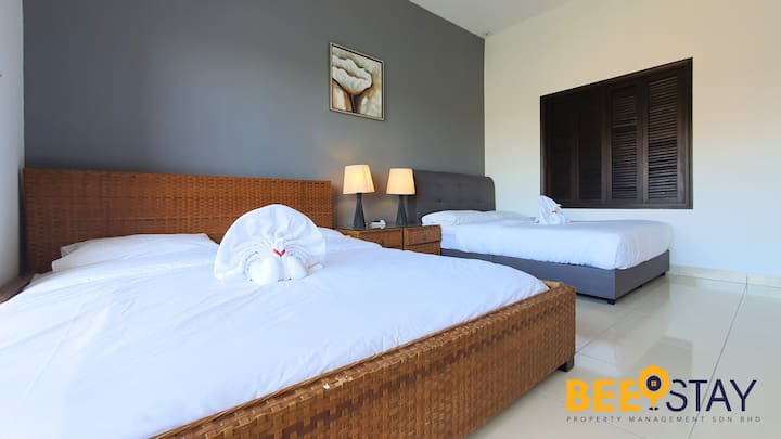 Studio | Gold Coast Morib [A3651] - Morib