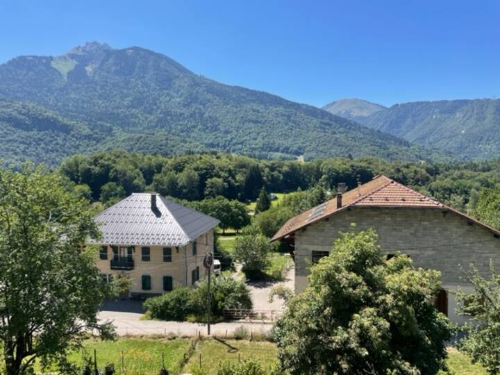 Maison Chaleureuse Et Atypique - Albertville