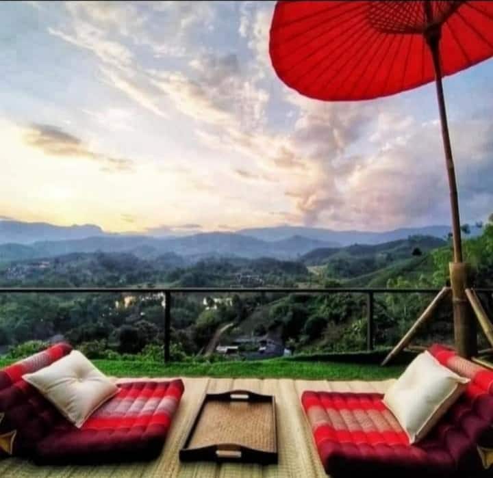 Flower Hill 180 - 태국