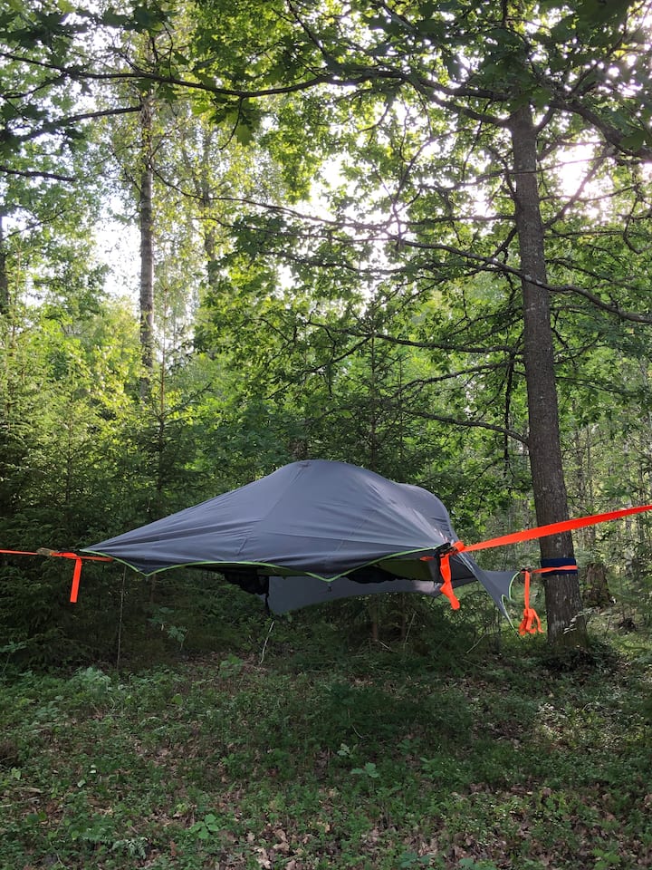 Tree-tent Overlooking Lake In Private Woodland - Ljungby