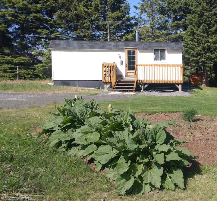 Mini-maison, Grand Terrain, Rivière, Tranquillité! - Quebec
