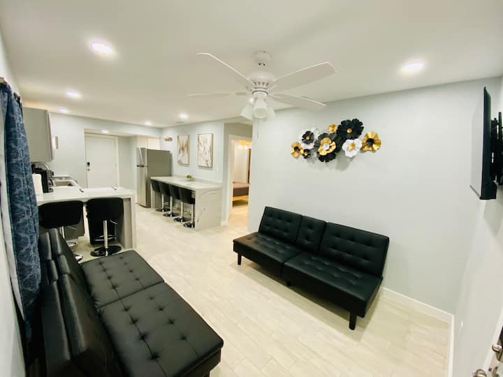 Big Parking|2br,2ba|2 King Beds|2sofa Beds - Laredo, TX