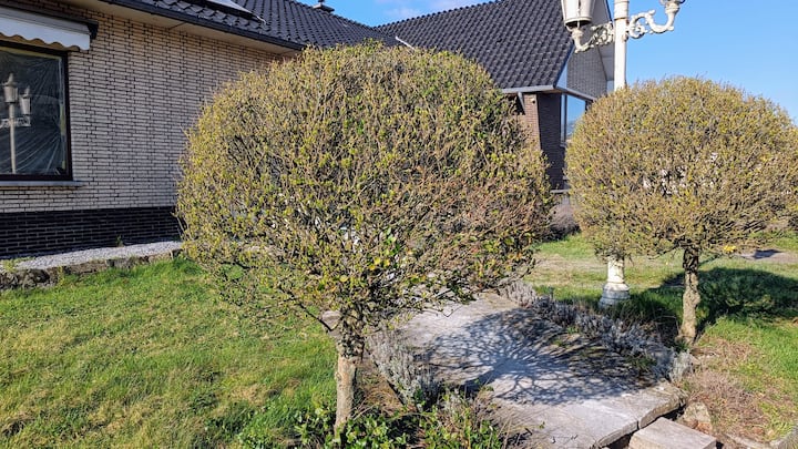 Casa Roman Vakantiewoning - Zonhoven