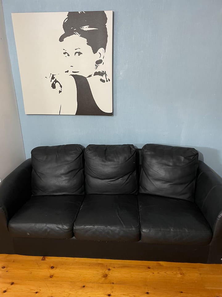 Guesthouse Near Linnaeus University, Vaxjo - Växjö