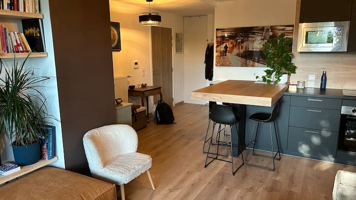 Bel Appartement Proche Centre - Annecy