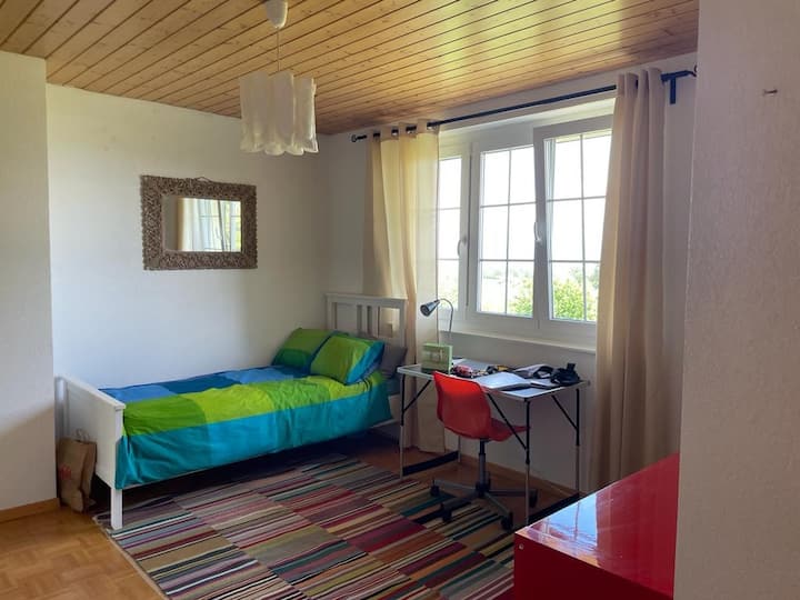 Room Mont Blanc - Nyon
