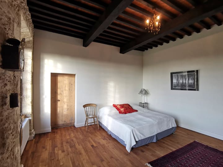 Ehemaliges Weinchâteau In Der Gascogne Chambre 1 - Eauze