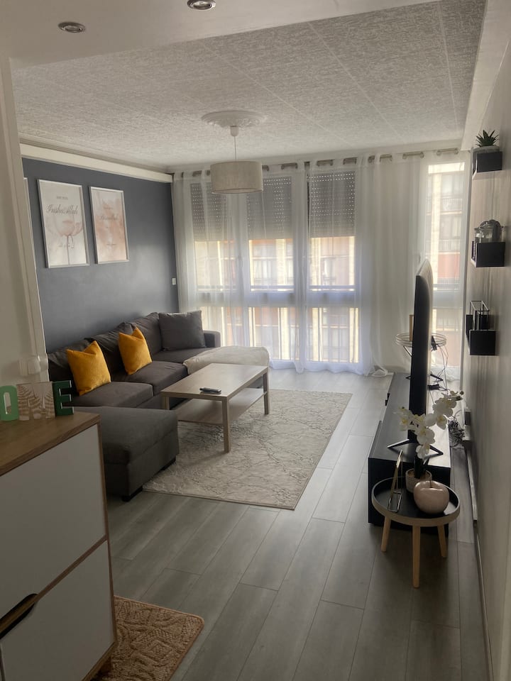 Charmant T3 Moderne - Meudon