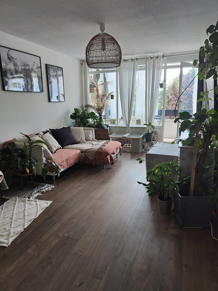 Jungle Appartement à Annecy - Meer van Annecy