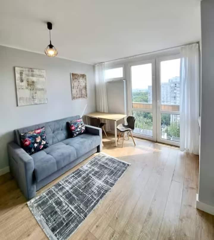 City Centre Top Floor Apartment - Warsaw