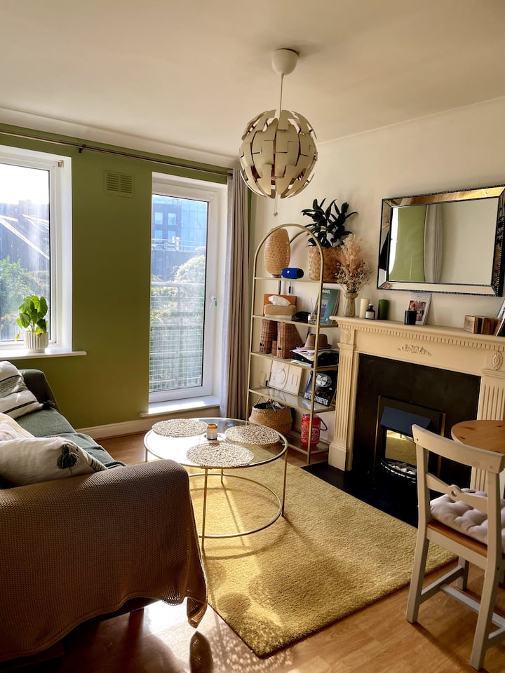 1 Bedroom Apartment - City Center Of Dublin - Dublin