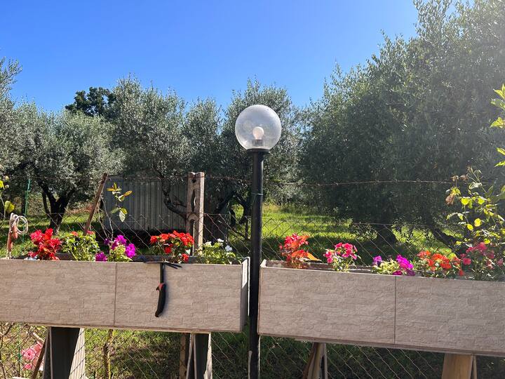 Sigma House. - Anagni