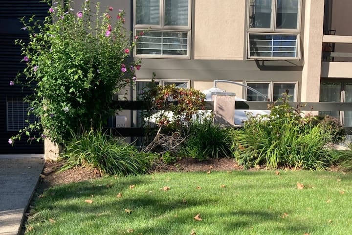 3 Br Condo Wooster Square Park - New Haven, CT