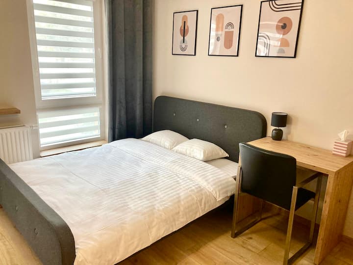 Platon Prime Studio - Łódź