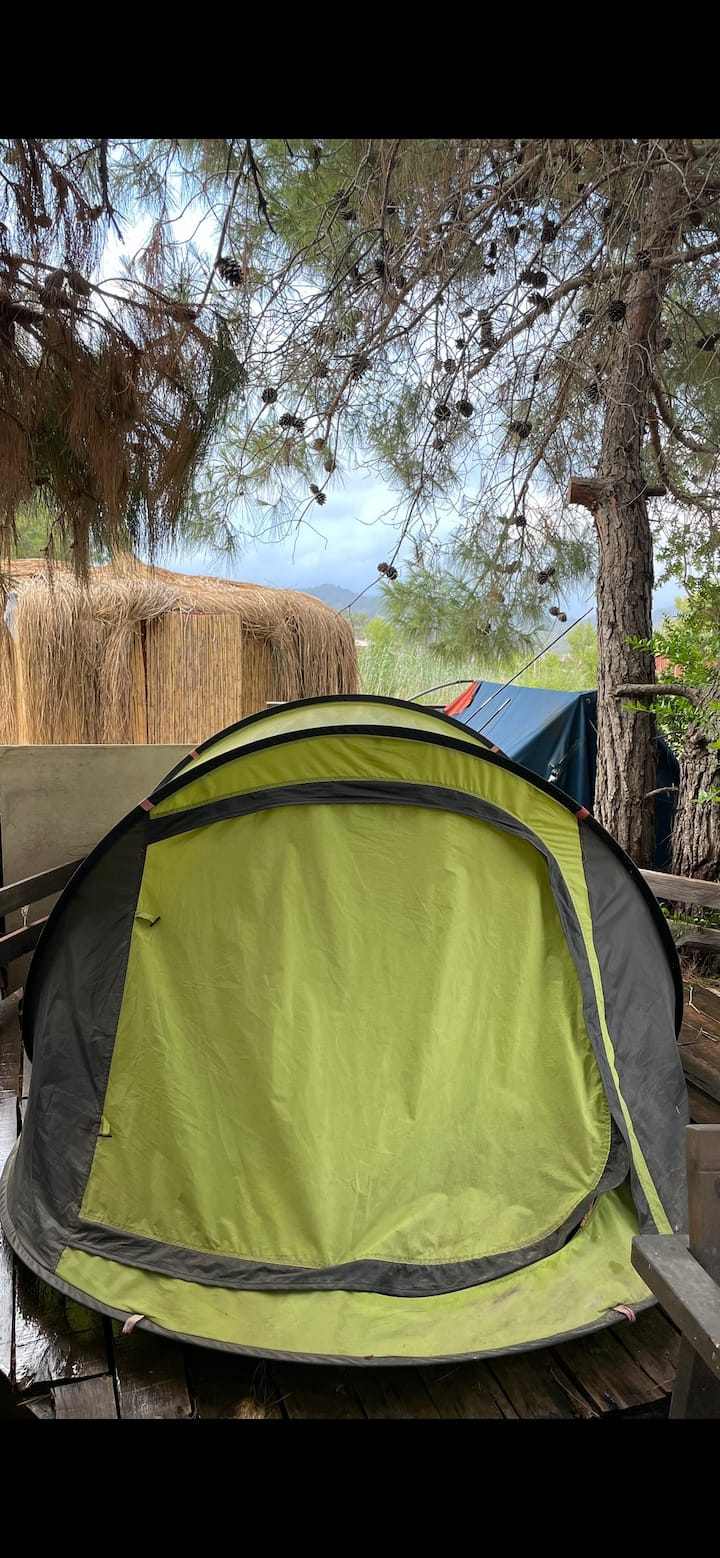ÇAdır Karavan Denize Sıfır Orman Içinde - Fethiye