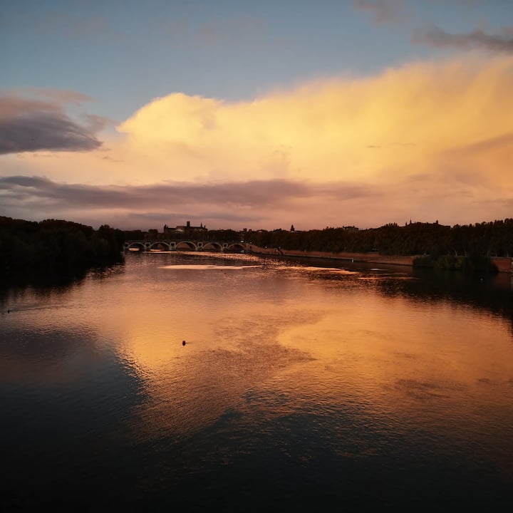 Vue Garonne - Toulouse