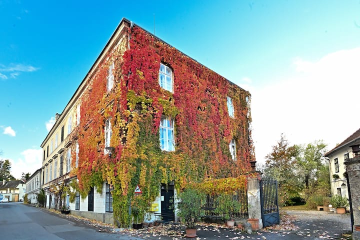 The Gallant Yellow At Schloss Hollenburg - Krems an der Donau