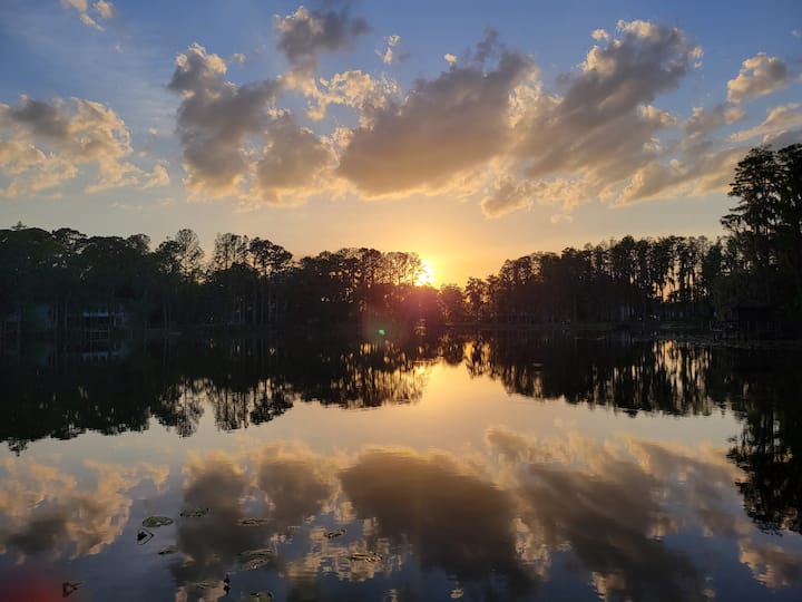 Lakeshore Retreat - Odessa, FL