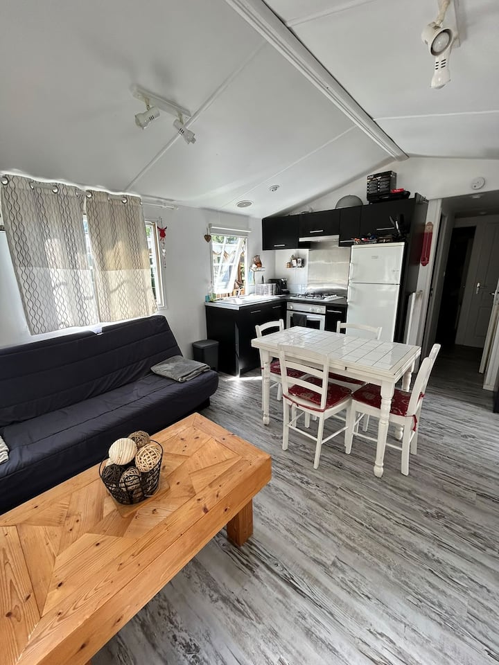 Spacieux Mobil Home + Terrasse ! - Verchaix