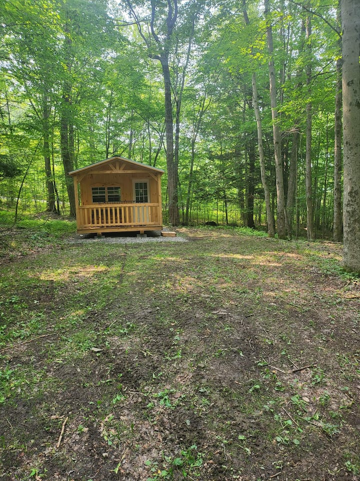 Cabin 1 No Electricity - Alfred University, Alfred