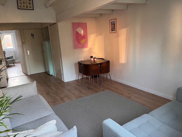 Spacious Appartement In City Center - Róterdam