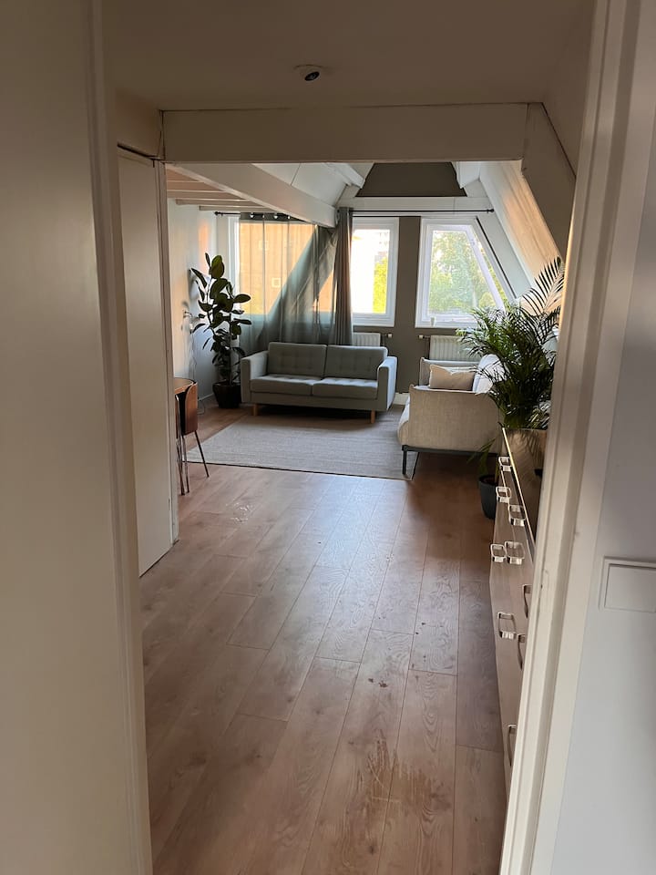 Spacious Appartement In City Center - Países Bajos