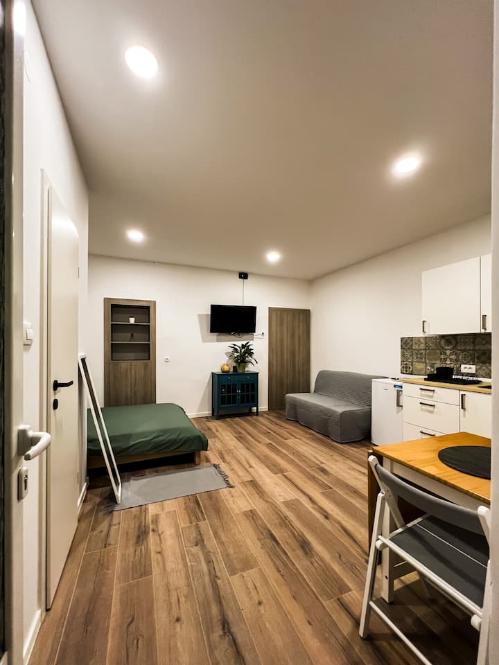 Studio Apartment Joanna - Rijeka