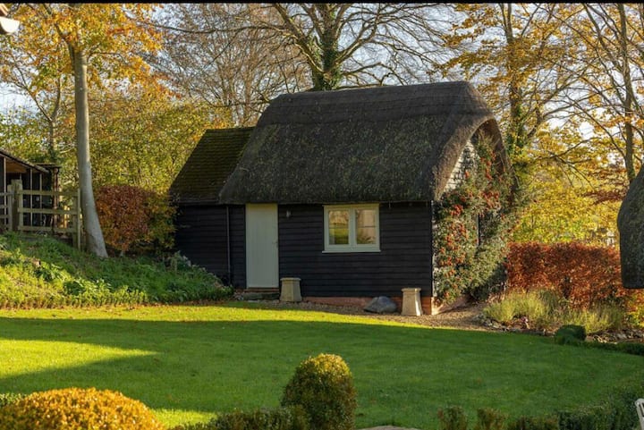 Idyllic Private Thatched Cottage - Andover