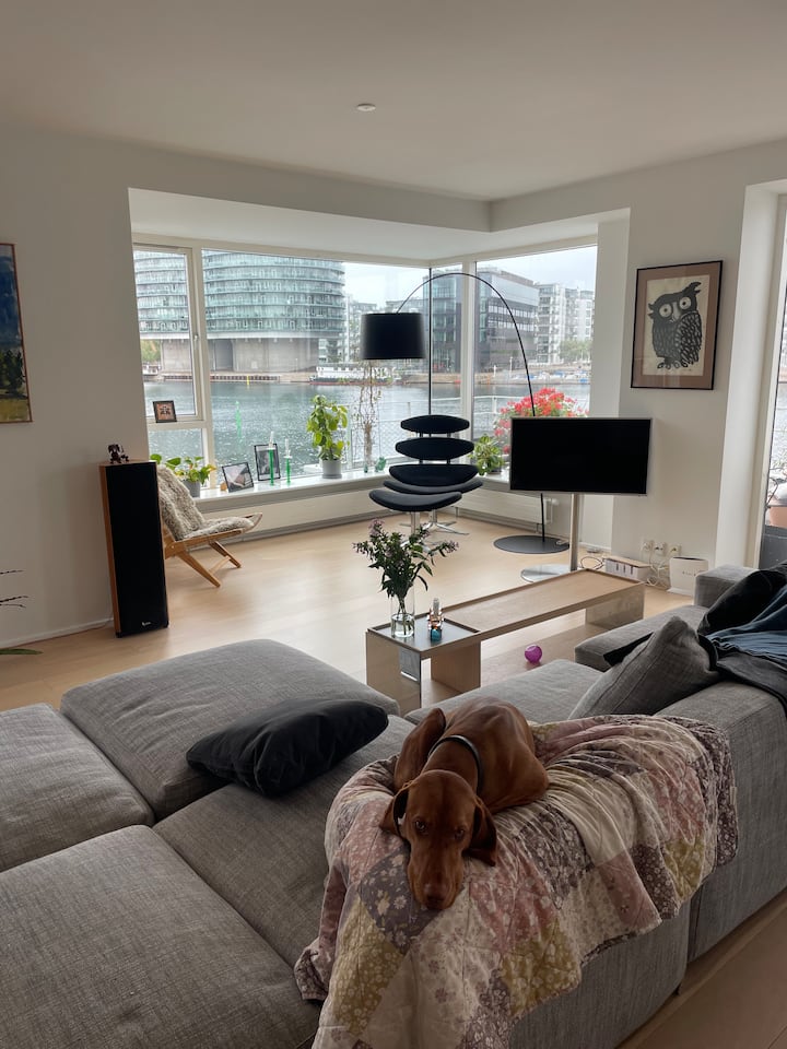 Skøn Luksus Lejlighed Udlejes - Copenhague