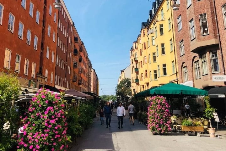Perfekt Lägenhet Mitt I Vasastan - Stockholm