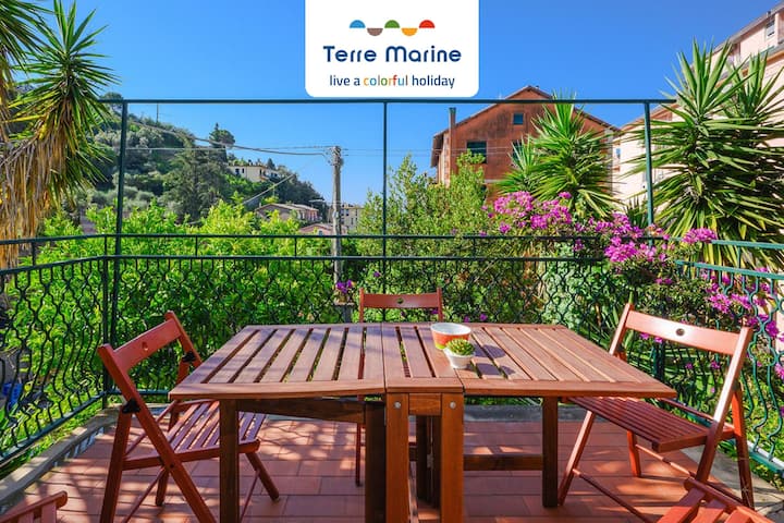 Nettuno, Terremarine - Monterosso al Mare