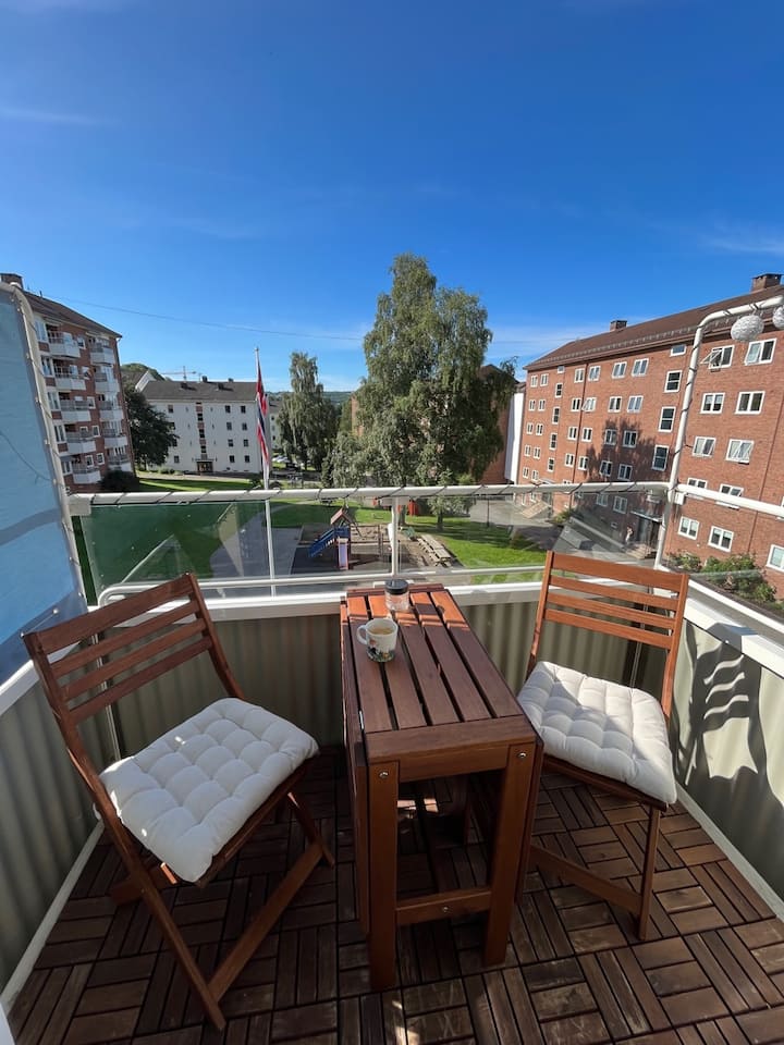 Koselig 3-roms Med Balkong - Oslo