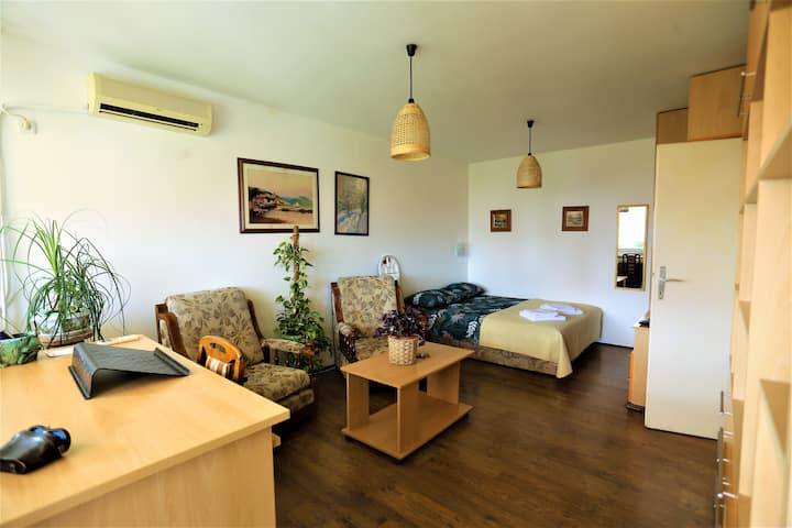 Flowers & Roofs - Serbia