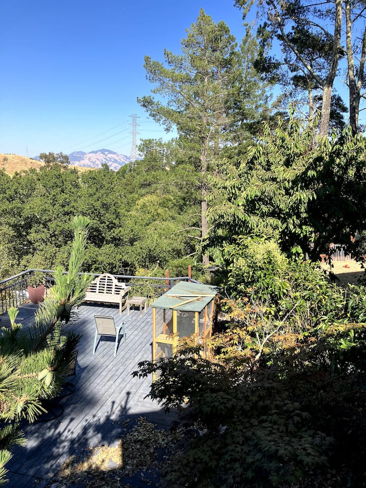 Bright, Open, Mt. Diablo Views - Orinda, CA