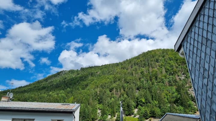 Appartement T3 60m² Massif Du Haut Jura - Morez