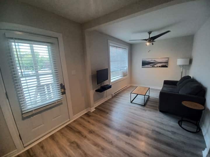Superbe Appartement, 1 Chambre, Hull (331) - Gatineau