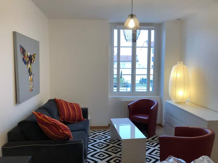 Luxueux T2 Lumineux - Lyon