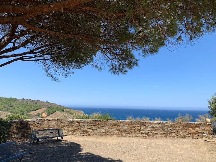 Appartement Banyuls Sur Mer - Collioure