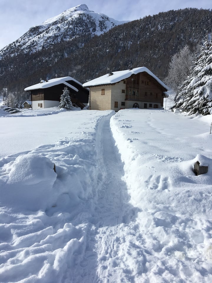 Confortevole Appartamento Con Terrazza - Ливиньо