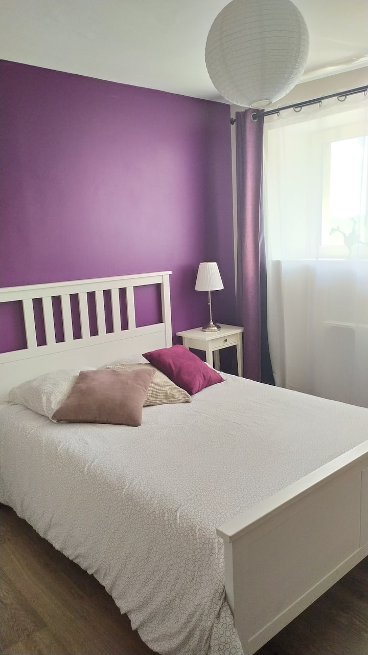 Petite Chbre Chez L'habitant - Femme Seule/couple - Langres