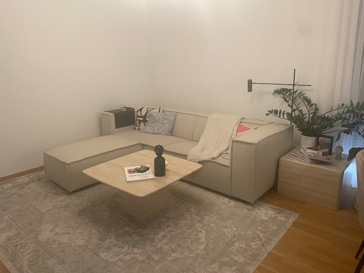 Modern Comfy Big Contemporary Flat - Aschheim