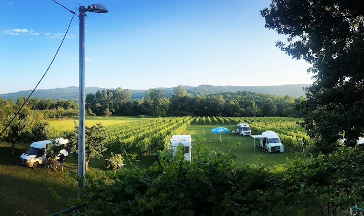 Purple Eye Estate- Camp & Winery - Montenegro