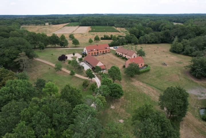 Sologne Domaine 180 Hect 38 Pers - Sully-sur-Loire