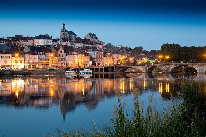 Le Vintage Wi-fi Netflix Climatisation Cour Privée - Joigny